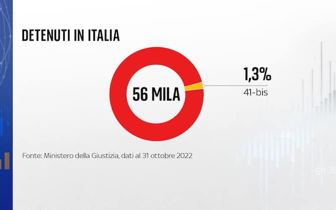 41 bis, quanti sono i detenuti e cosa prevede | SKY TG24
