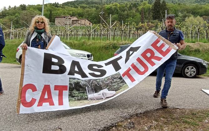 Spray anti orso, via libera dal Viminale: come funziona e quando usarlo ...