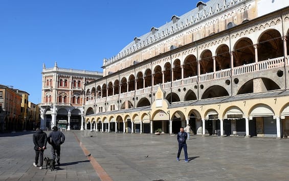 Le 5 mostre d'arte a Padova da non perdere ad agosto 2023 | Sky TG24