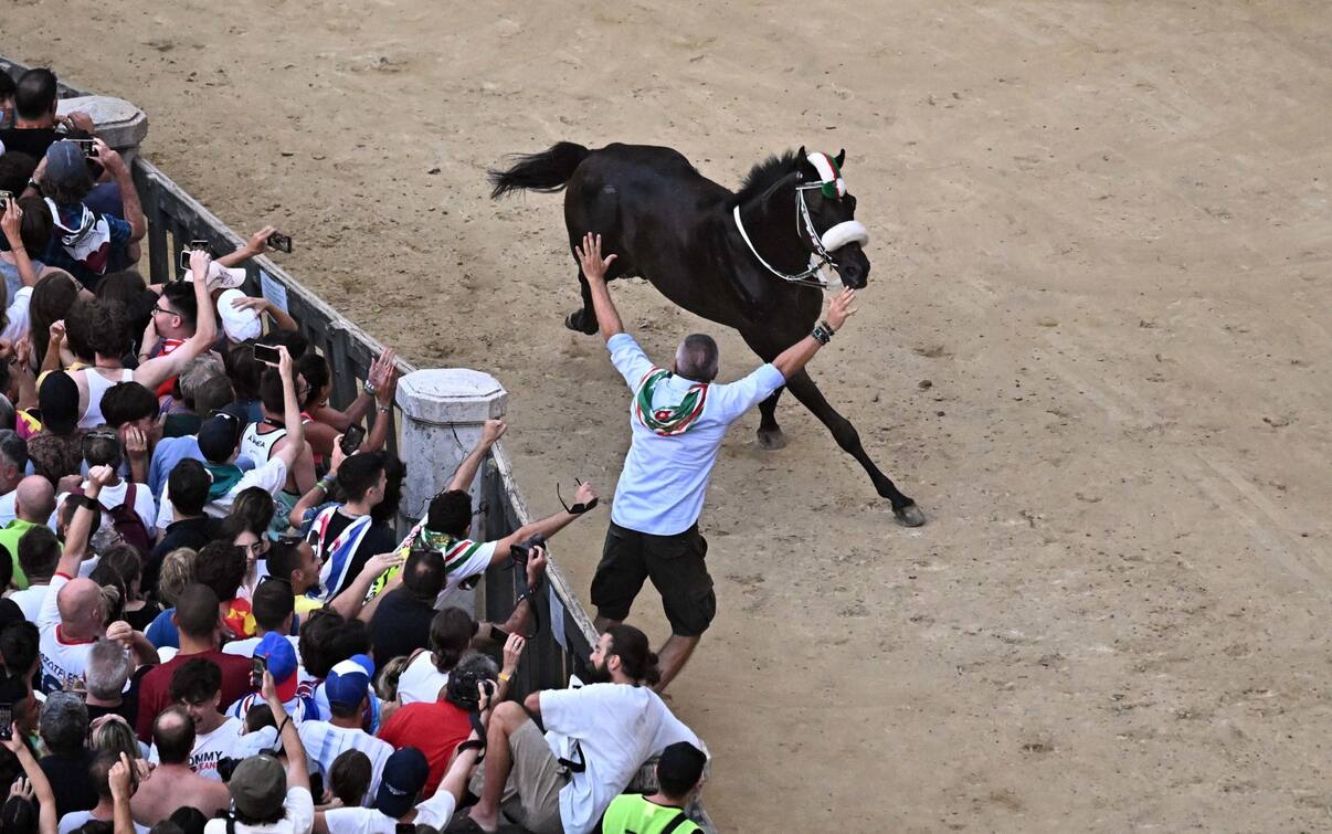 Palio di Siena dell'Assunta 2023, L'Oca vince con cavallo Zio Frac ...