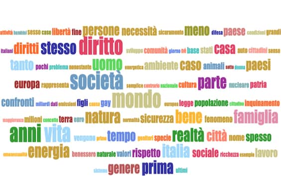 Roberto Vannacci: da società a genere, il lessico del libro del ...