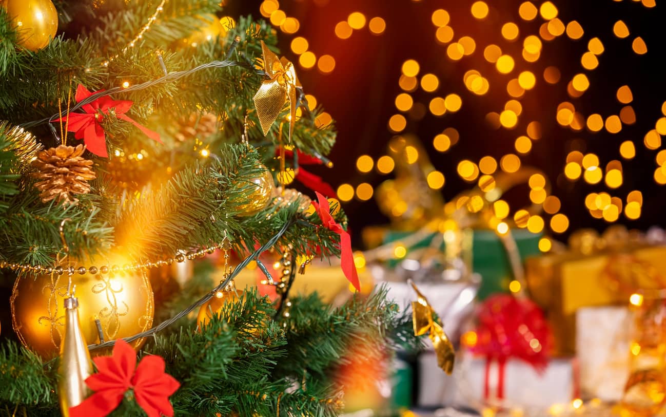 Natale 2022 festività non goduta: come cambia la busta paga | Sky TG24