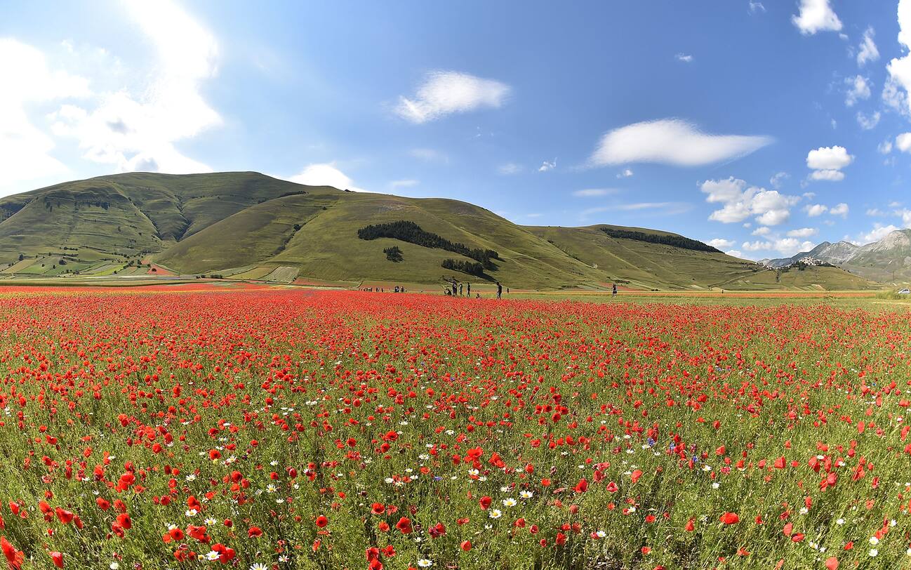 Vacanze in montagna, dove andare: 10 posti da visitare quest'estate