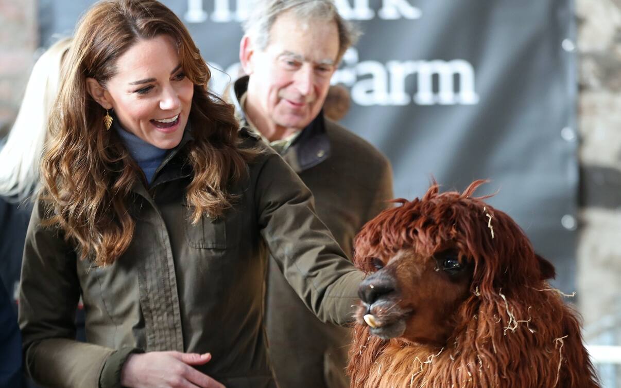 The Crown fa tornare di moda il Barbour, la giacca amata dalla Famiglia ...