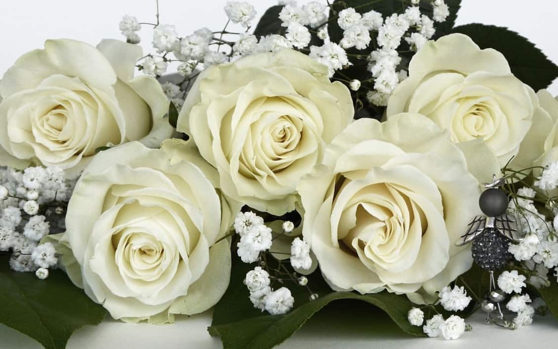 Rose bianche, ecco il loro significato