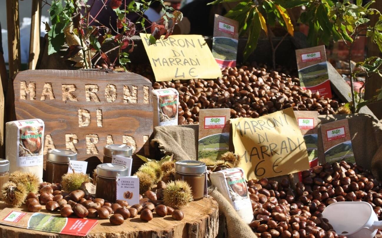Raccolta castagne, luoghi e sagre dove trovare marroni e caldarroste ...