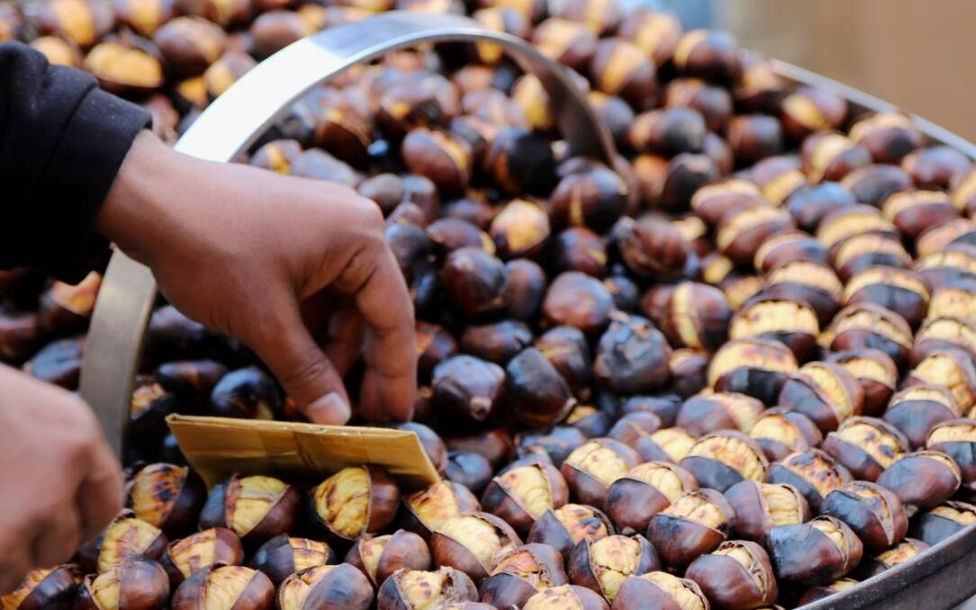 Raccolta castagne, luoghi e sagre dove trovare marroni e caldarroste ...