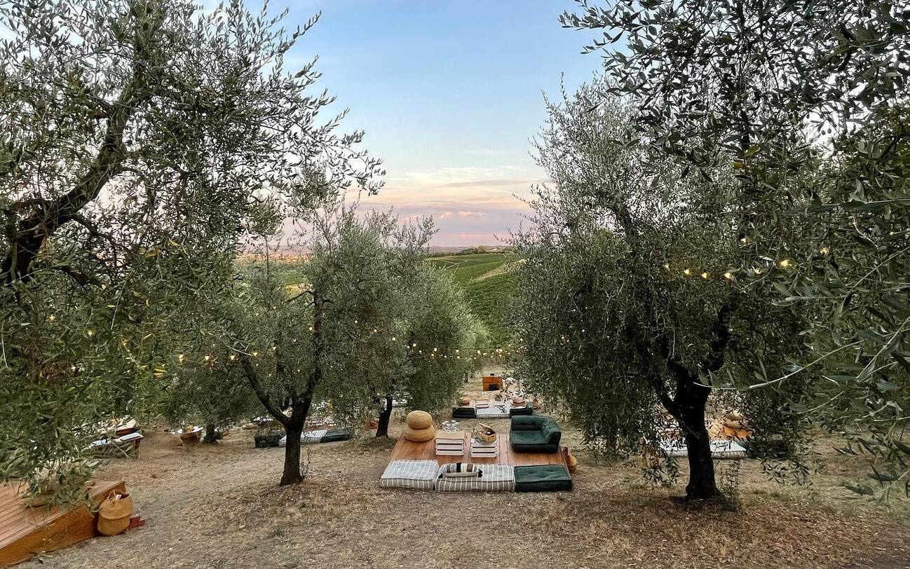 Cena o aperitivo in vigna in Toscana: 15 pic-nic dal Chianti alle Terre ...
