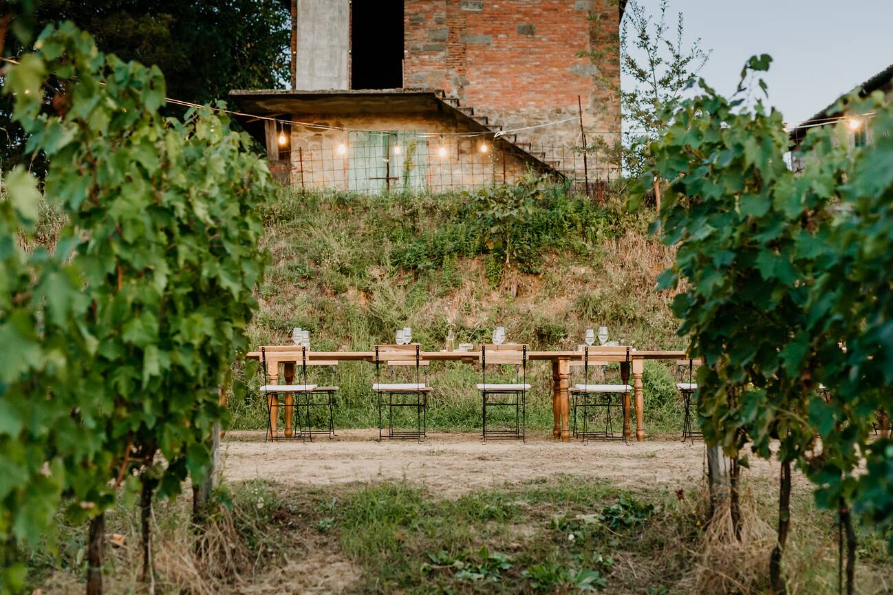 Cena o aperitivo in vigna in Toscana: 15 pic-nic dal Chianti alle Terre ...