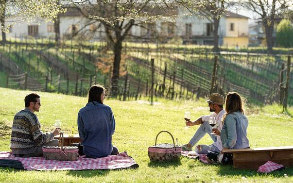 Cena o aperitivo in vigna in Toscana: 15 pic-nic dal Chianti alle Terre ...