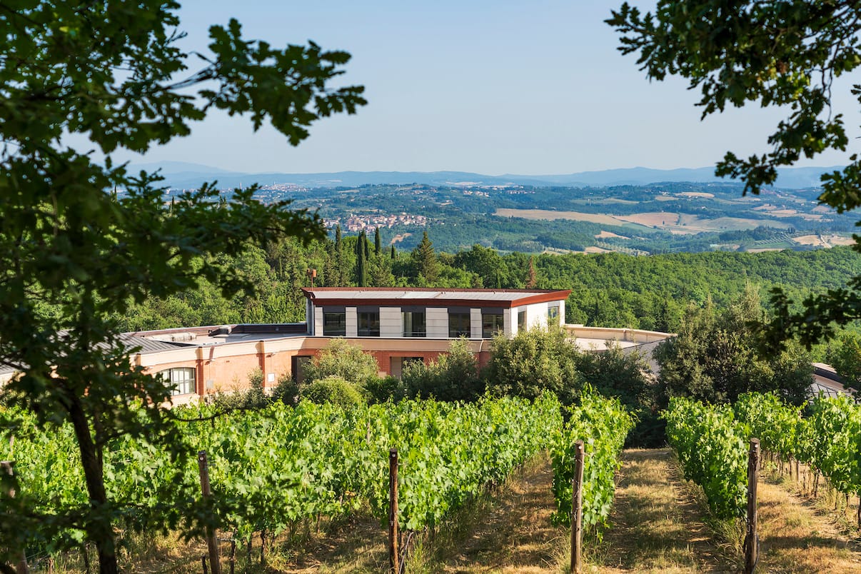 13 cantine d’autore da visitare in Toscana, da Antinori nel Chianti ...