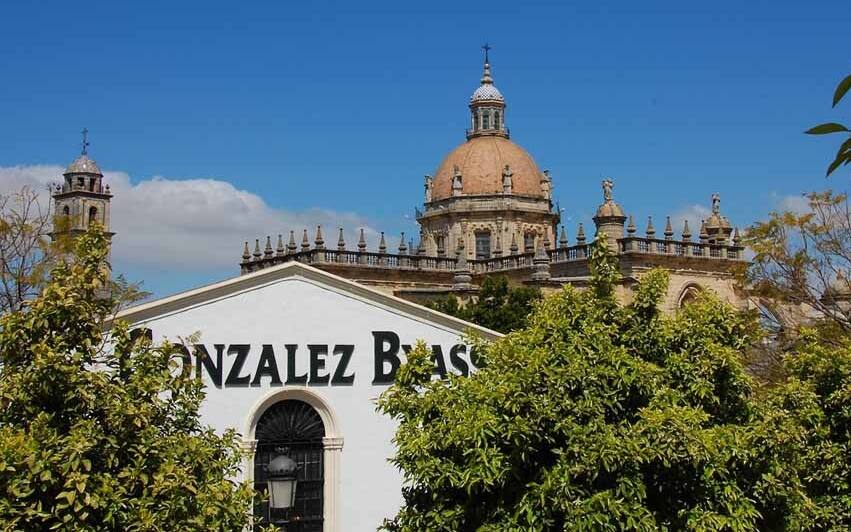 Le cantine più belle del mondo: ai World’s Best Vineyards 2022 trionfa ...