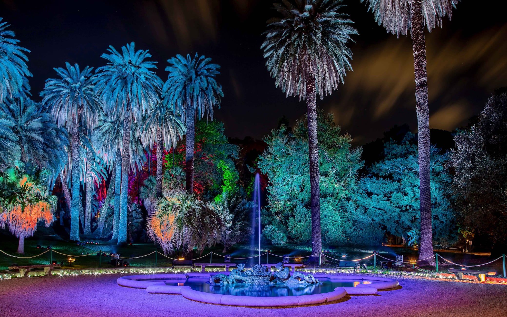 Incanto di luci, la light art illumina l'Orto botanico di Roma | Sky TG24