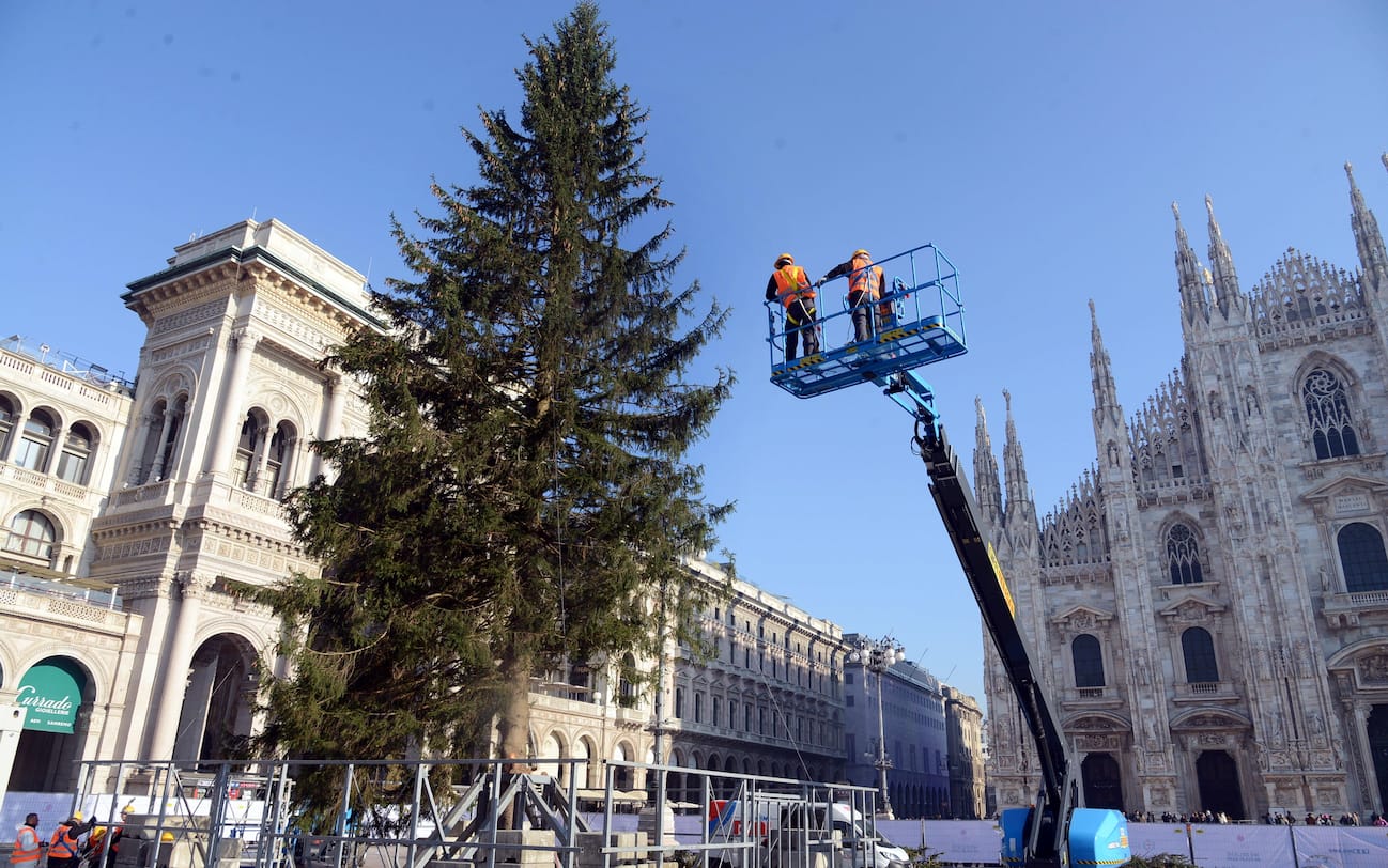 Albero di Natale più grande del mondo sarà acceso a Gubbio: è alto 750 ...
