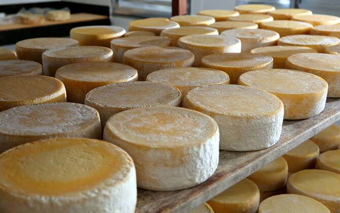 Migliori formaggi al mondo, 8 italiani nella top 10. La classifica 2023 ...