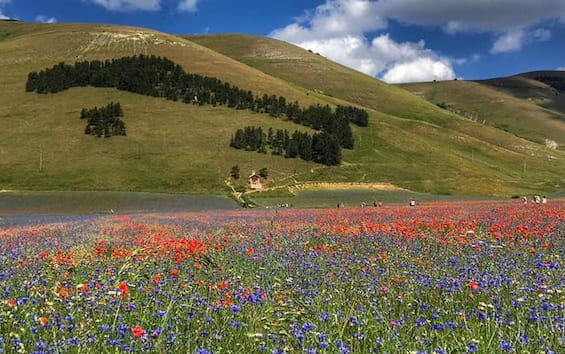 I 10 parchi nazionali più popolari d'Italia | Sky TG24