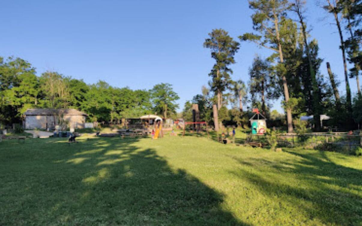 Picnic, le migliori aree attrezzate nei dintorni di Roma in Lazio | Sky ...