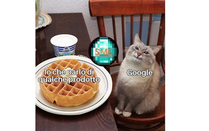 Giornata del Gatto, i meme più divertenti sui felini | Sky TG24