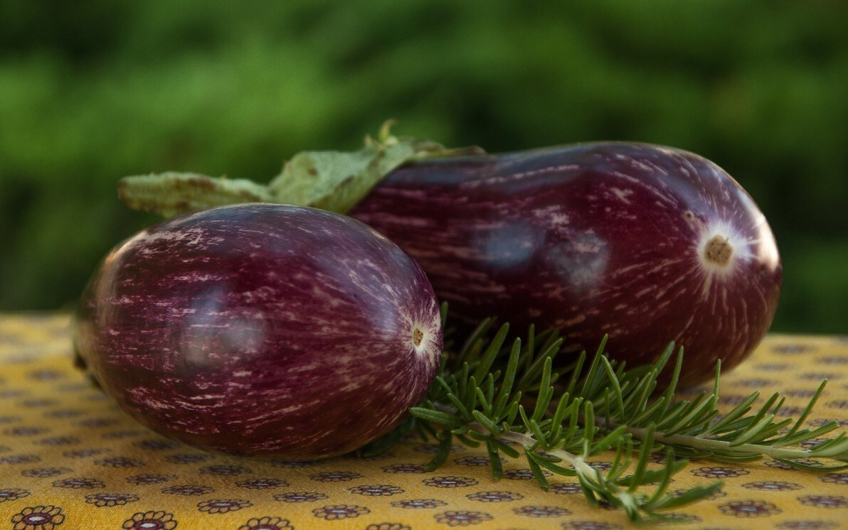 7 ricette con le melanzane a prova di Masterchef. FOTO