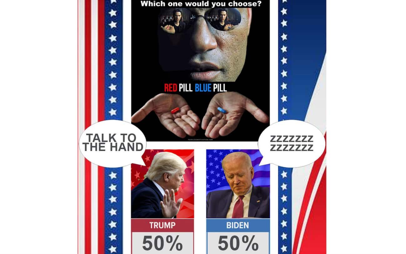 Elezioni Usa 2020, i meme più divertenti sullo scontro Trump Biden