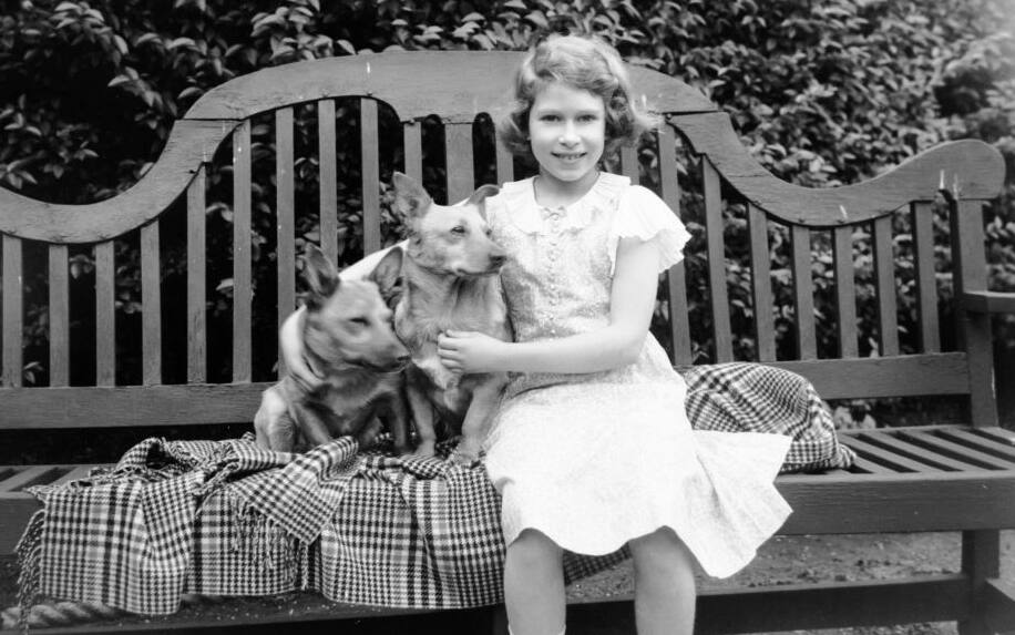 Regina Elisabetta: morto il suo dorgi Vulcan, penultimo cane della sovrana