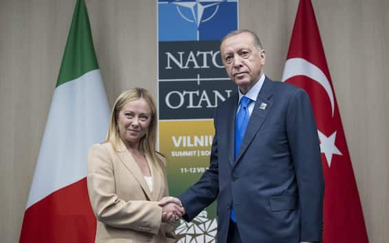 L'incontro tra Meloni ed Erdogan al vertice Nato di Vilnius | Sky TG24