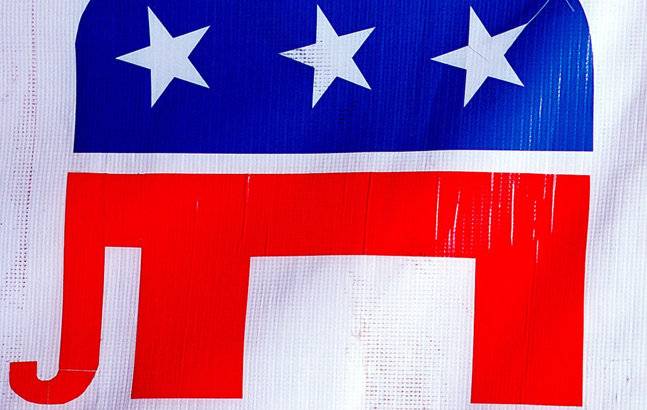 Elezioni USA, asinello ed elefantino: la storia dei simboli del partito ...