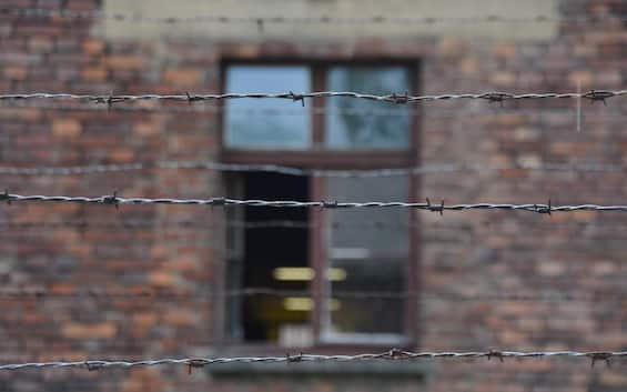 Shoah, professore negazionista interrompe spettacolo teatrale a Milano ...