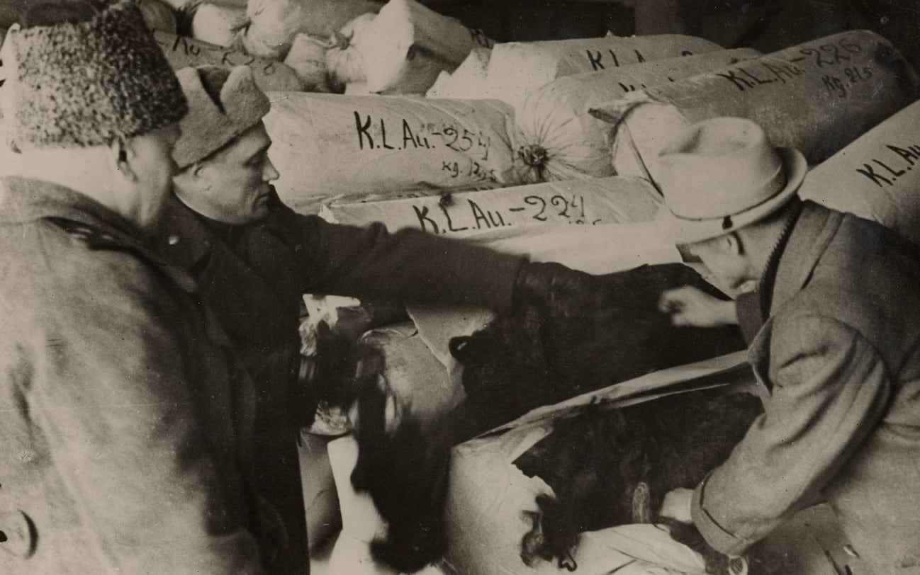 Giornata della Memoria, immagini simbolo dell'Olocausto: da treni della ...