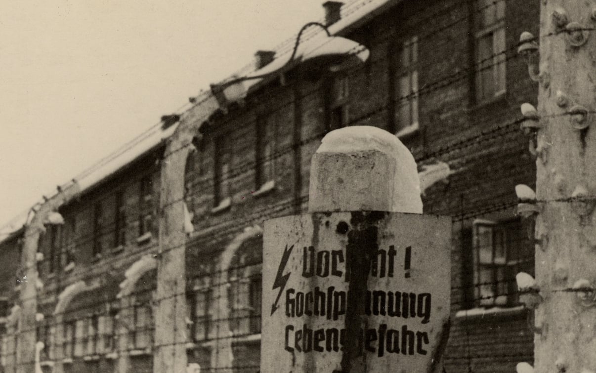 Giornata della Memoria, immagini simbolo dell'Olocausto: da treni della ...