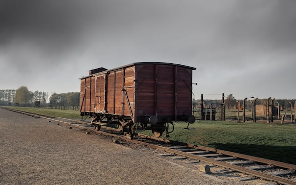 Giornata della Memoria, immagini simbolo dell'Olocausto: da treni della ...