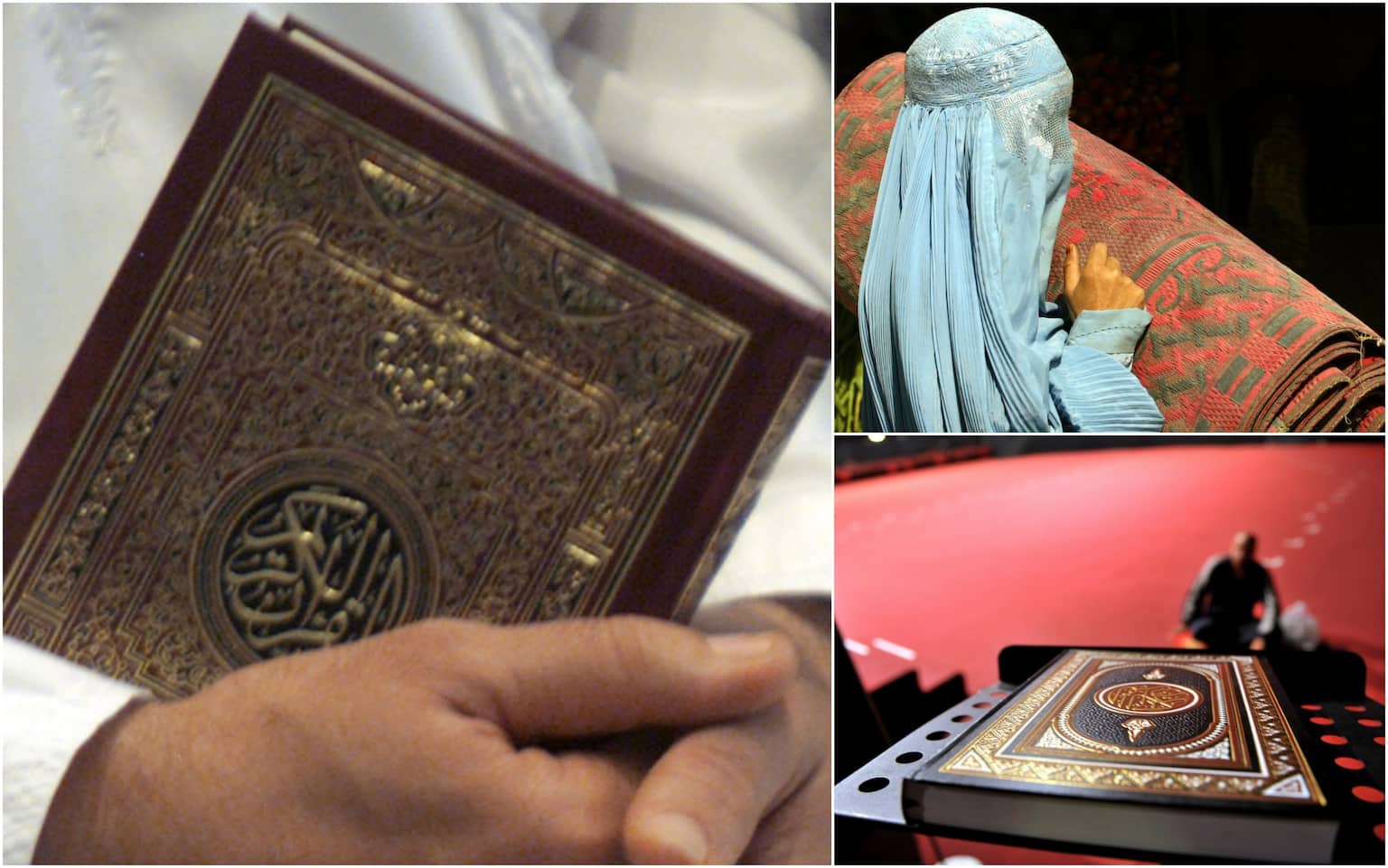 Testimoni di Geova, regole e divieti | Sky TG24