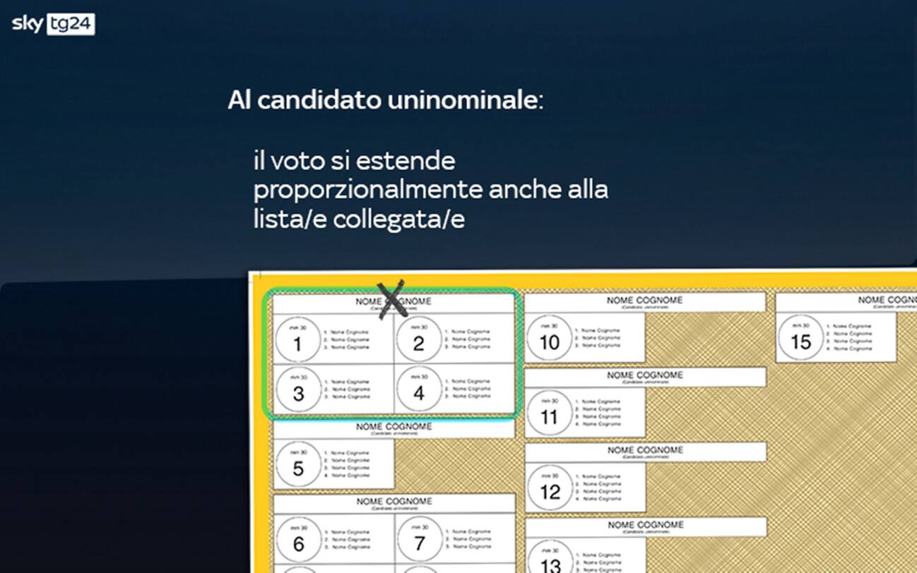 Elezioni Del 25 Settembre Come Si Vota La Guida Facile In 7 Passi