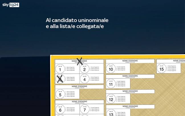 Elezioni Del 25 Settembre Come Si Vota La Guida Facile In 7 Passi