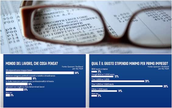Sondaggio, per 1 su 2 i salari bassi ostacolo a occupazione. Primo ...