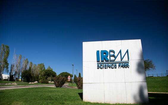Vaccino Covid, Irbm Pomezia: fine fase sperimentazione entro dicembre ...