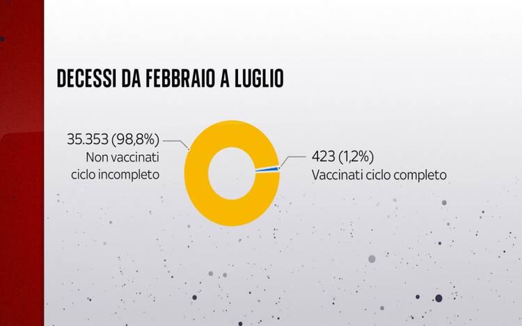 Sintomi del coma etilico, come riconoscerlo e cosa fare | Sky TG24