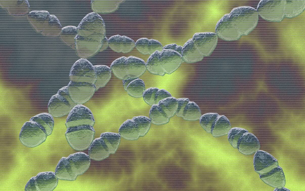Streptococco, cresce la richiesta di tamponi. Quali sono i sintomi e ...