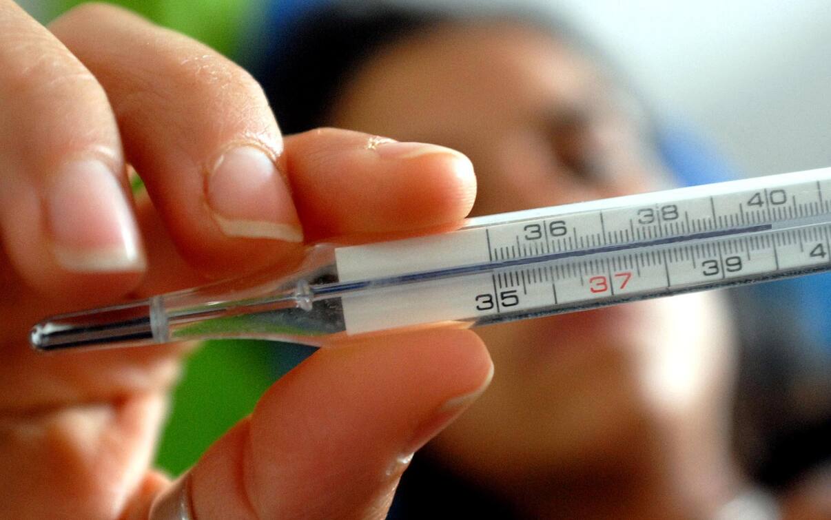 Febbre Dengue: cos'è, come si trasmette il virus e quali sono i sintomi ...