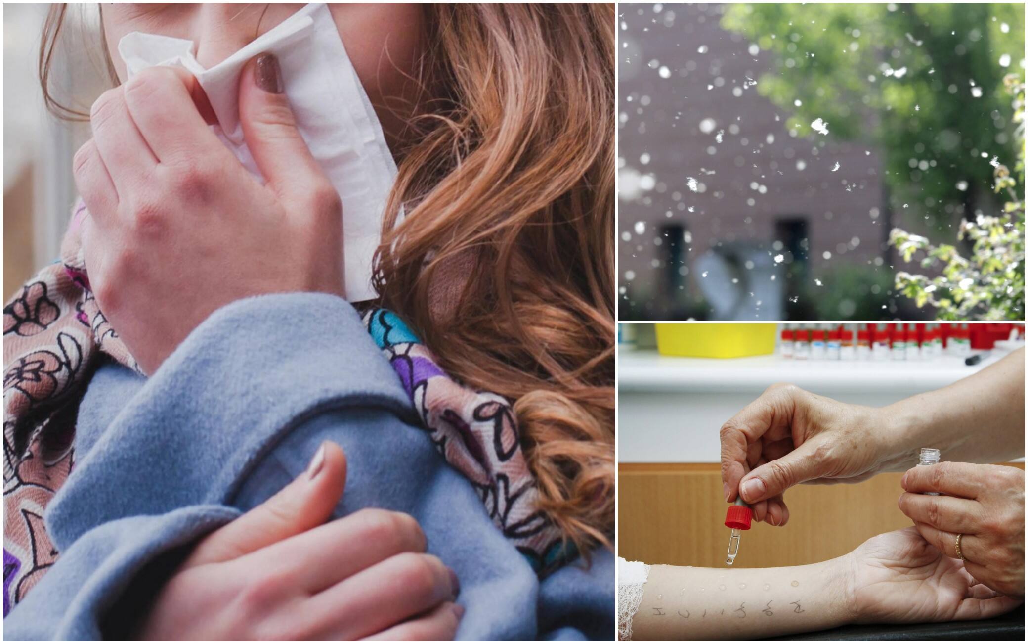 Raffreddore o allergia? Sintomi, differenze e test disponibili | Sky TG24