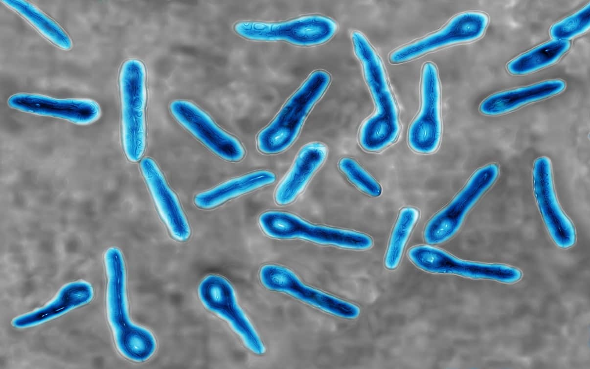 Tetano, sintomi e come si cura: vaccino e prevenzione malattia | Sky TG24