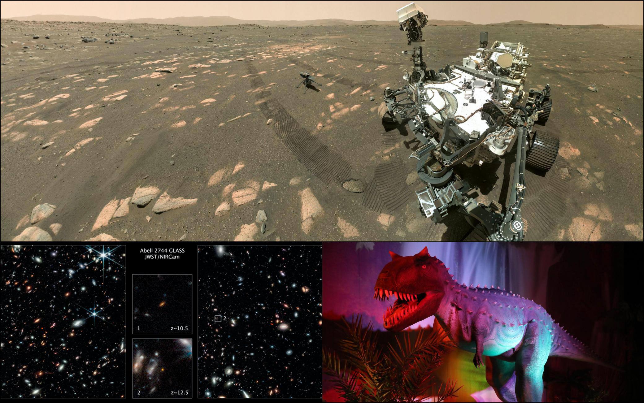 Le scoperte scientifiche più importanti del 2022 | Sky TG24