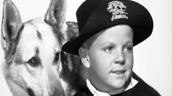 Morto Lee Aaker, l’attore che interpretava Rusty in Rin Tin Tin
