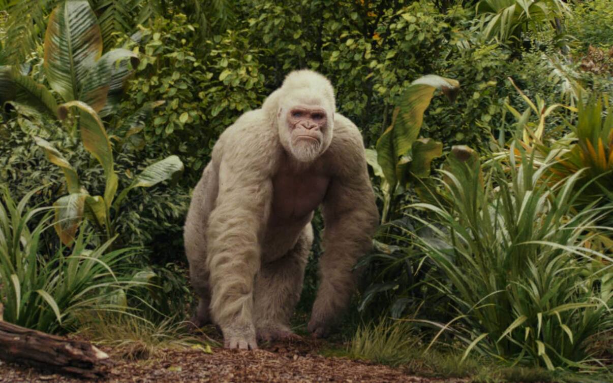 Rampage - Furia animale, il cast dell'horror con Dwayne Johnson