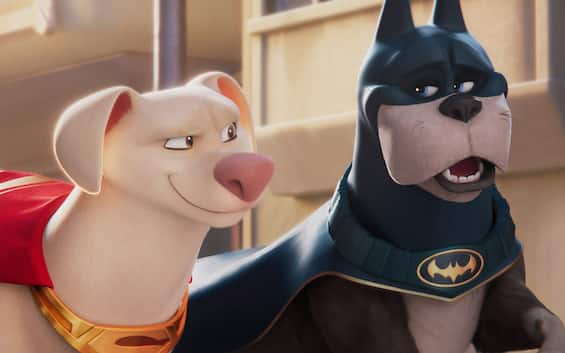 DC League of Super-Pets, il film d'animazione su Sky Cinema e Now dal 5 ...