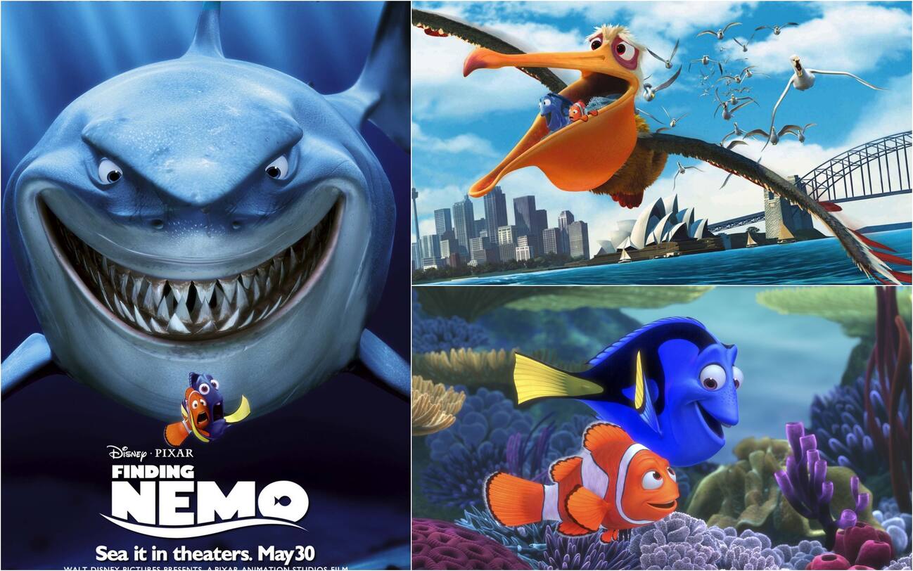 'Alla ricerca di Nemo', 20 anni fa usciva il capolavoro della Pixar: le ...