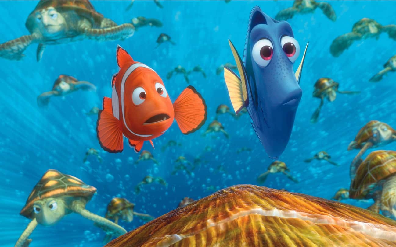 'Alla ricerca di Nemo', 20 anni fa usciva il capolavoro della Pixar: le ...