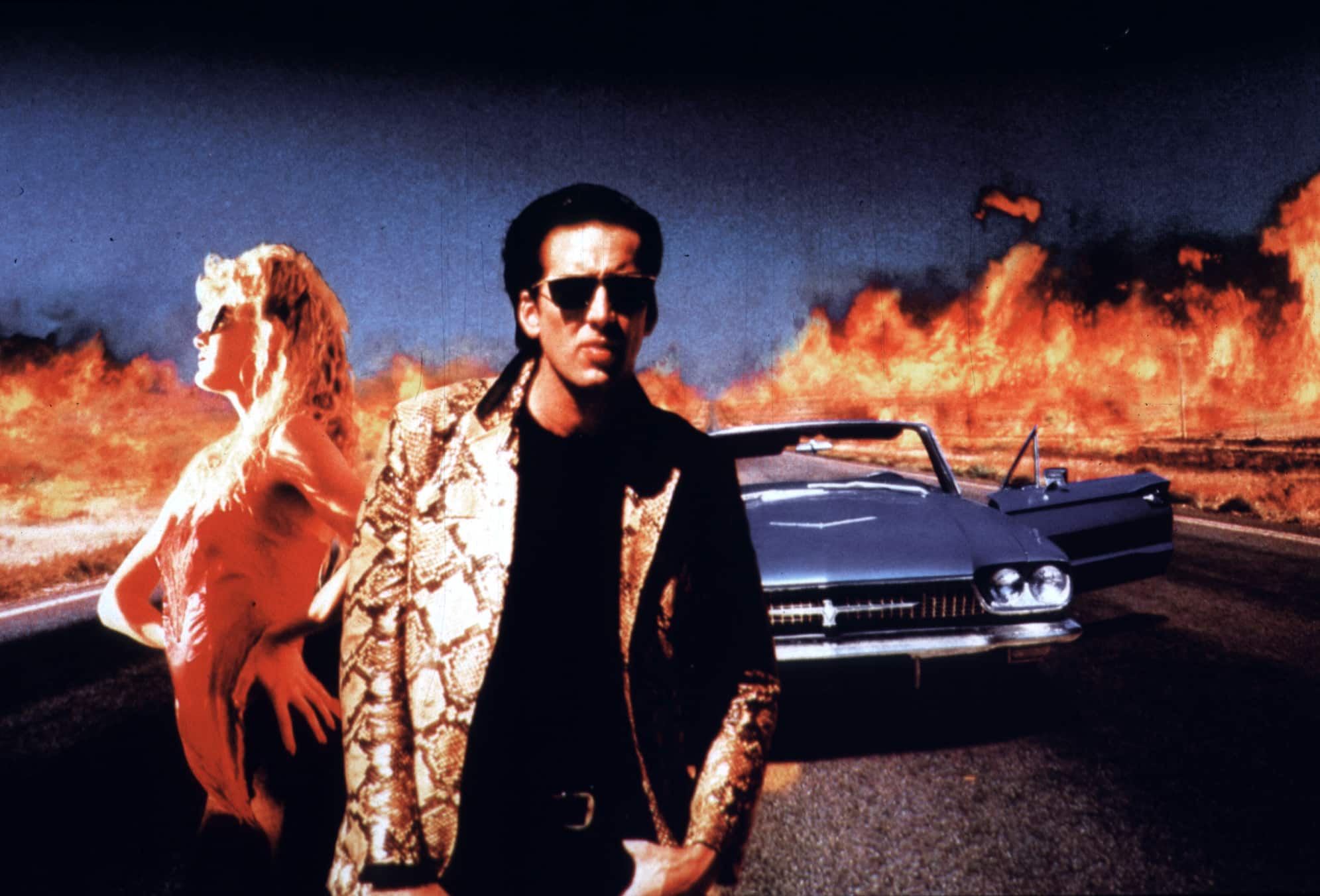 Cuore Selvaggio, il film di David Lynch con Nicolas Cage e Laura Dern ...