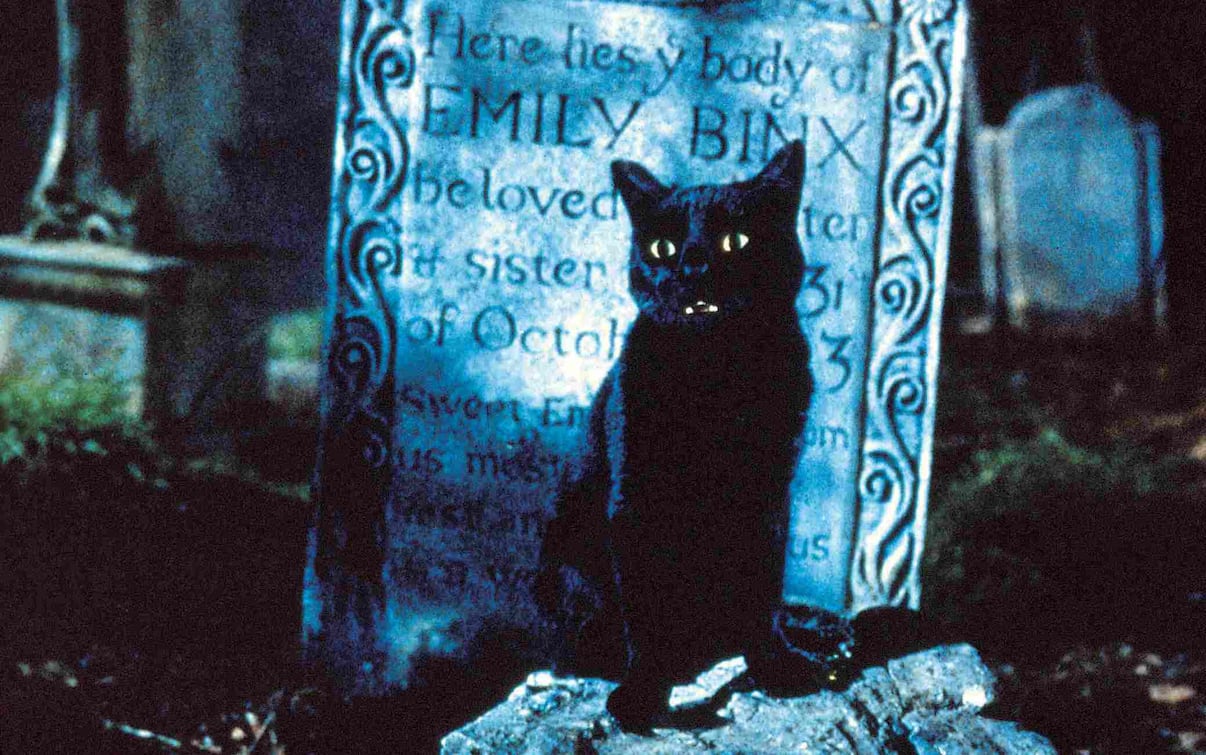 'Hocus Pocus' compie 30 anni, 12 curiosità sull'iconico film sulle ...
