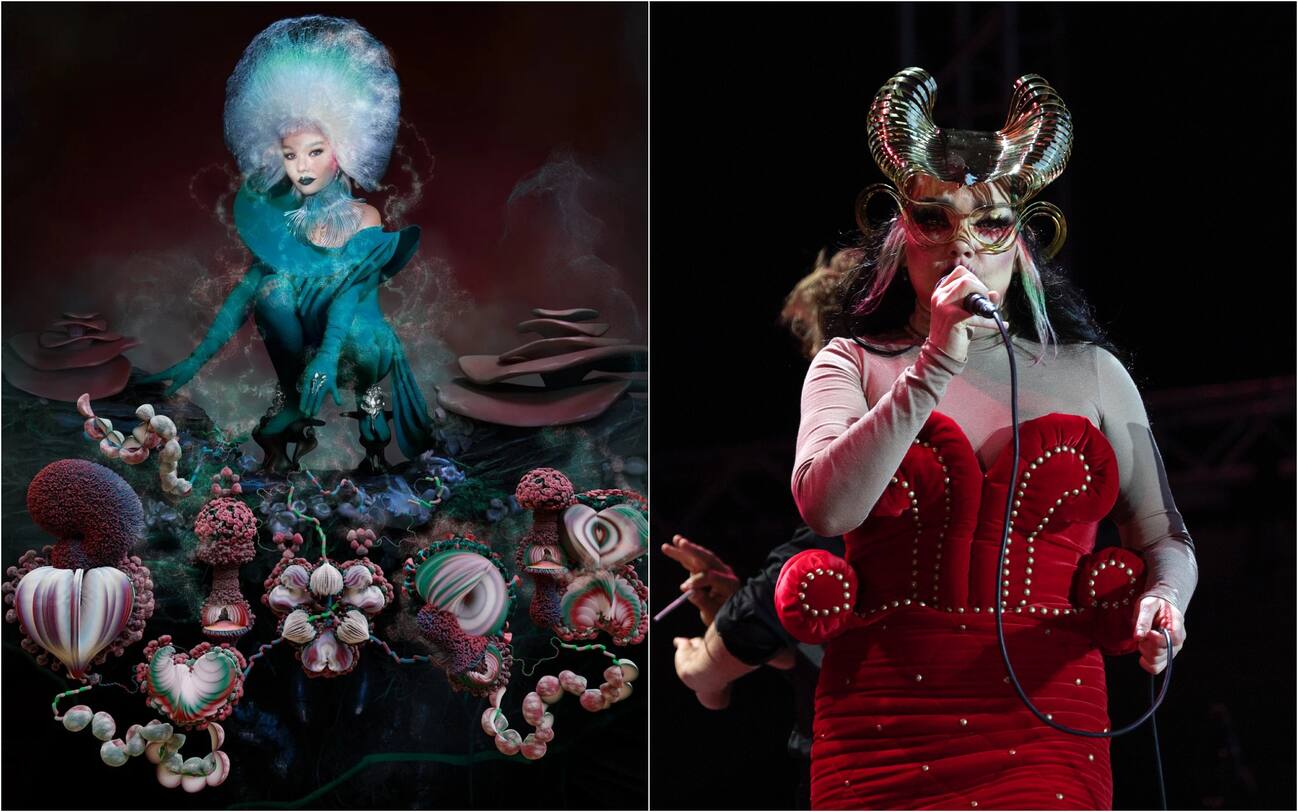 Esce Fossora, il decimo album di Bjork: tutti i dischi e le copertine ...